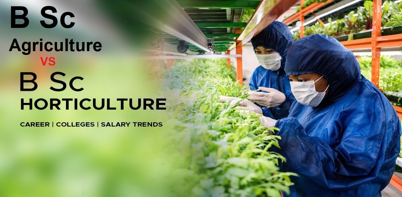 Difference between BSc Agriculture and BSc Horticulture | Edu DIctionary Difference between BSc Agriculture and BSc Horticulture | Edu DIctionary